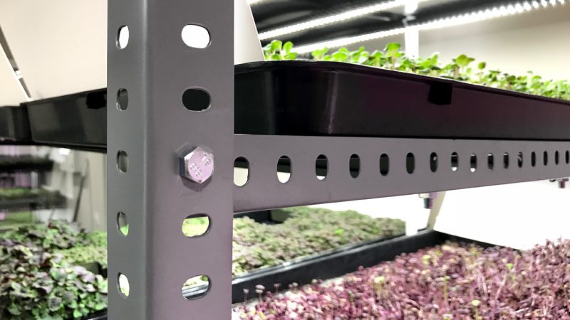 GROWING SYSTEM FOR EFFICIENT MICROGREEN PRODUCTION